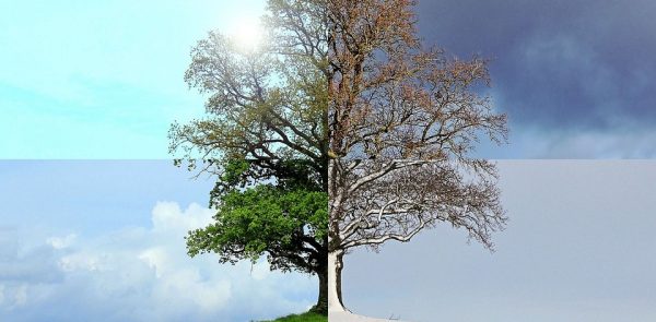 ORIGINS AND MEANING OF POLISH NAMES OF THE MONTHS